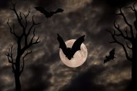 Halloween in Spanish: Vocabulary & Verbs To Know
