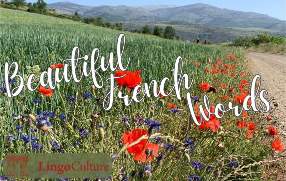 Beautiful French Words: From “Amour” to “Poésie”