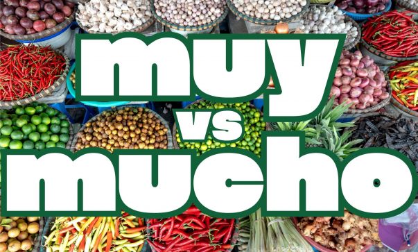 Muy vs Mucho in Spanish: A detailed guide