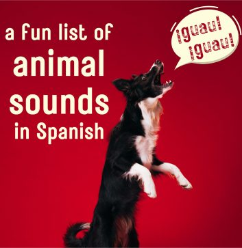 Animal sounds in Spanish: A fun list of Spanish onomatopoeias
