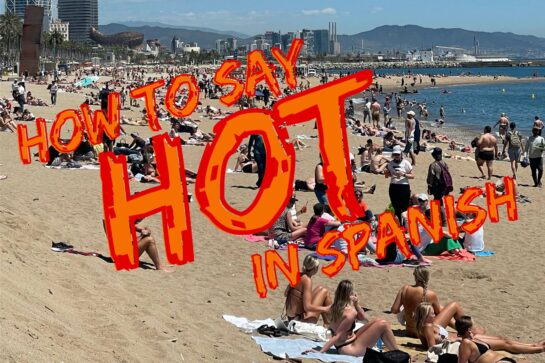 Food In Spanish: Our Full Guide to Spanish Food Words